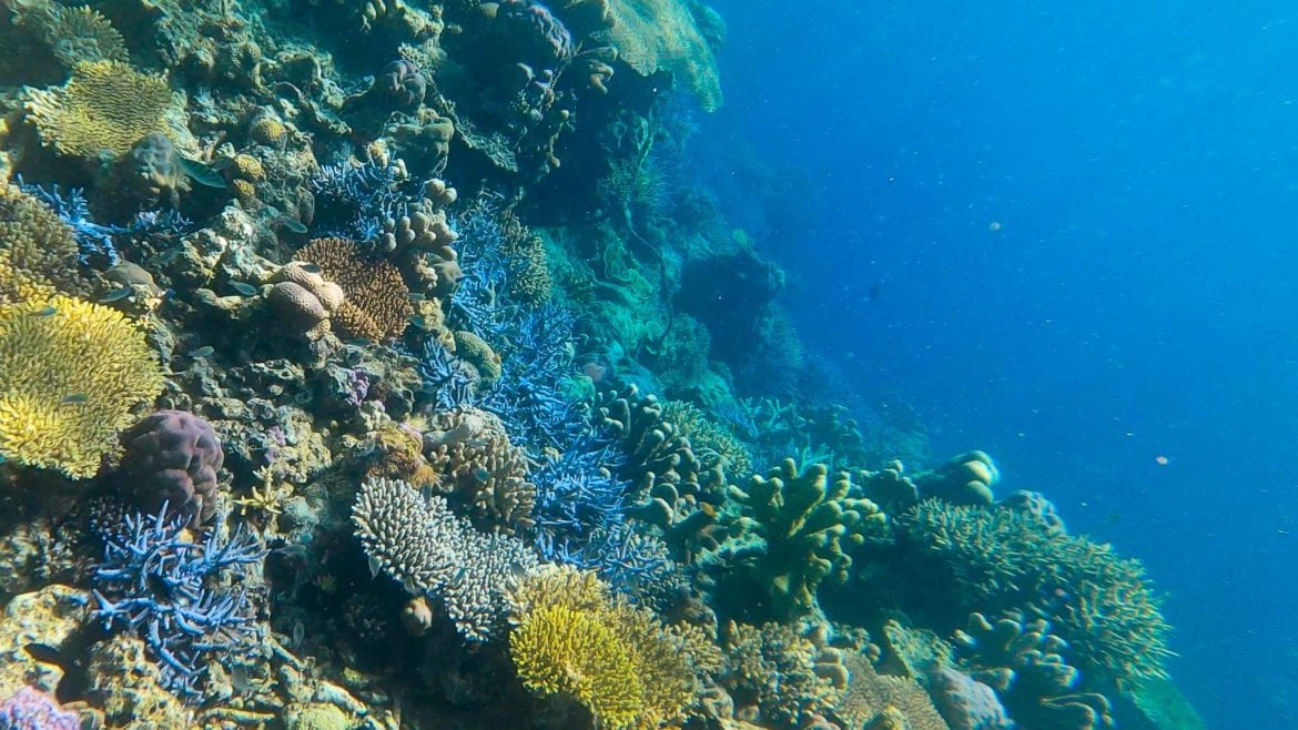 Jeju Island: Top Tips & Travel Guide | Planet Unfold